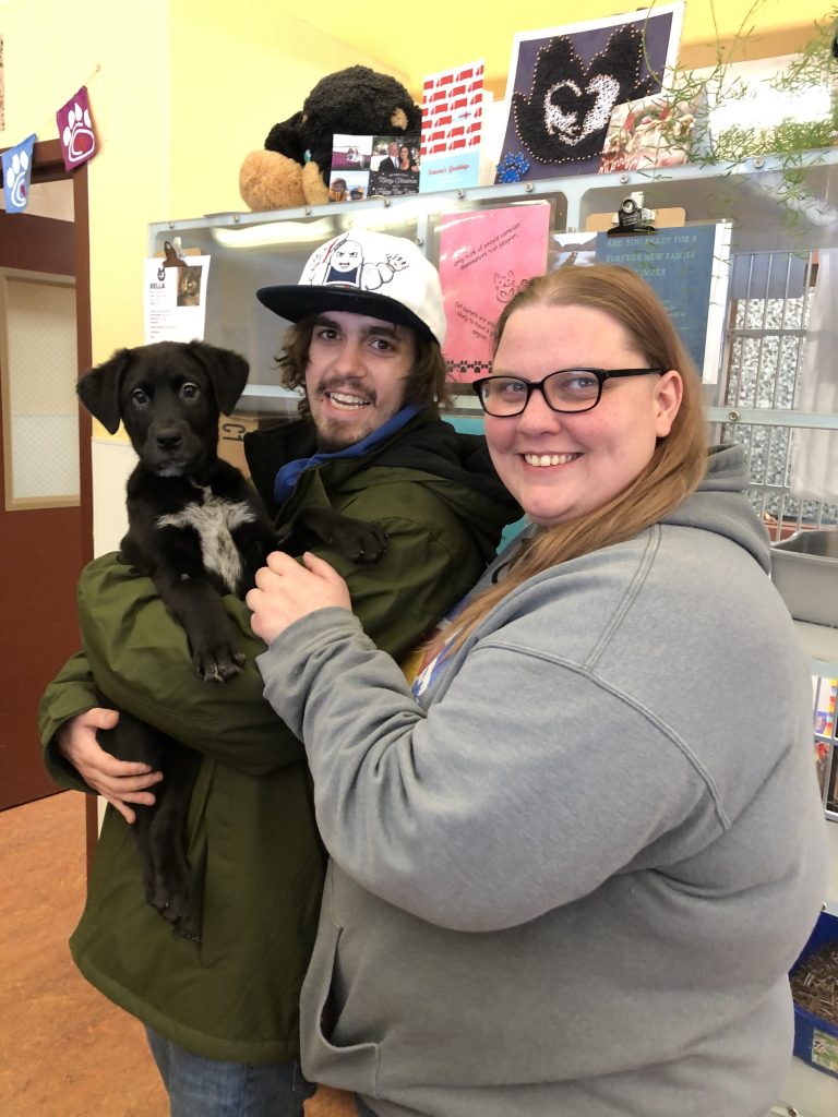 Donate - Help the Animals | Colorado Animal Rescue