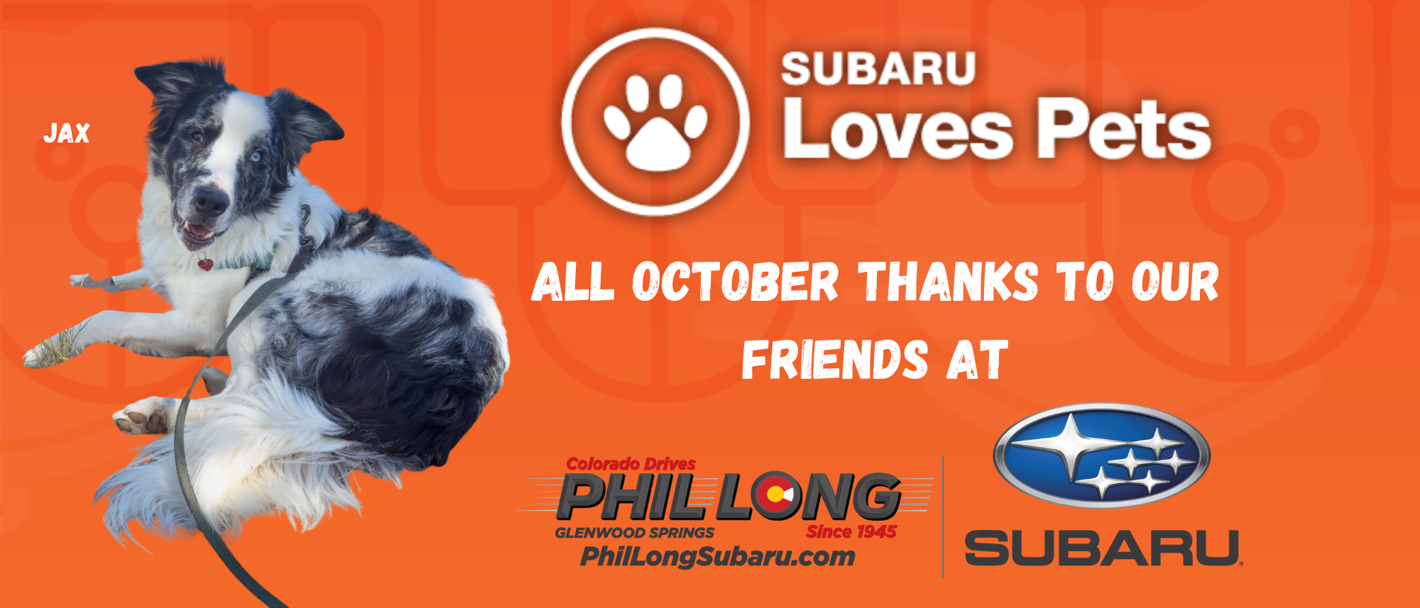 Subaru Loves Pets! Month - Colorado Animal Rescue