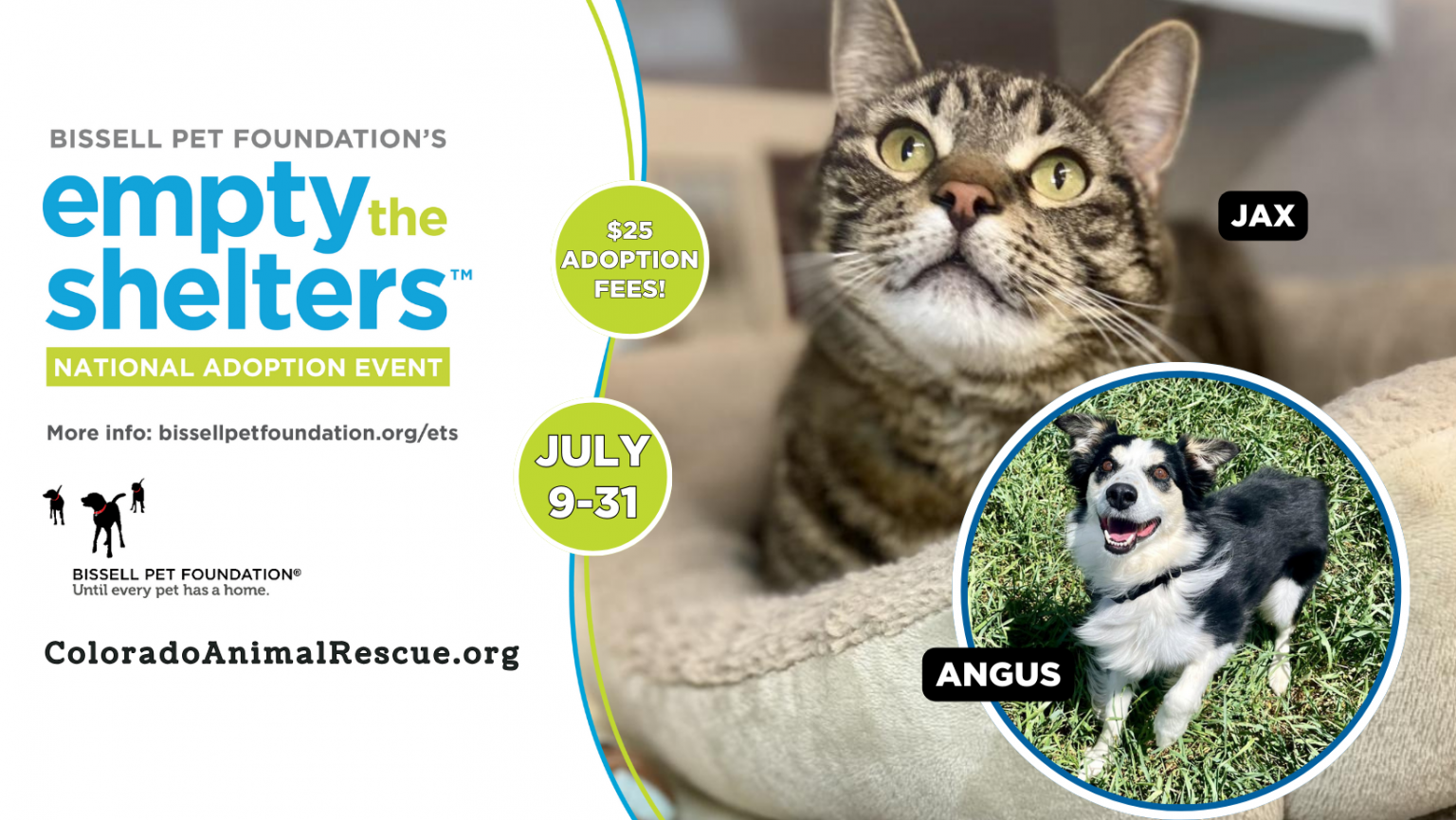 Colorado Animal Rescue - Animal Shelter | Glenwood Springs