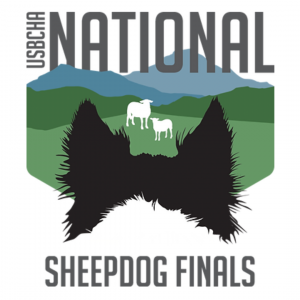 Colorado Animal Rescue - Animal Shelter | Glenwood Springs